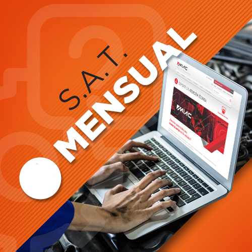 Acceso a Servicio técnico SAT MENSUAL 80€